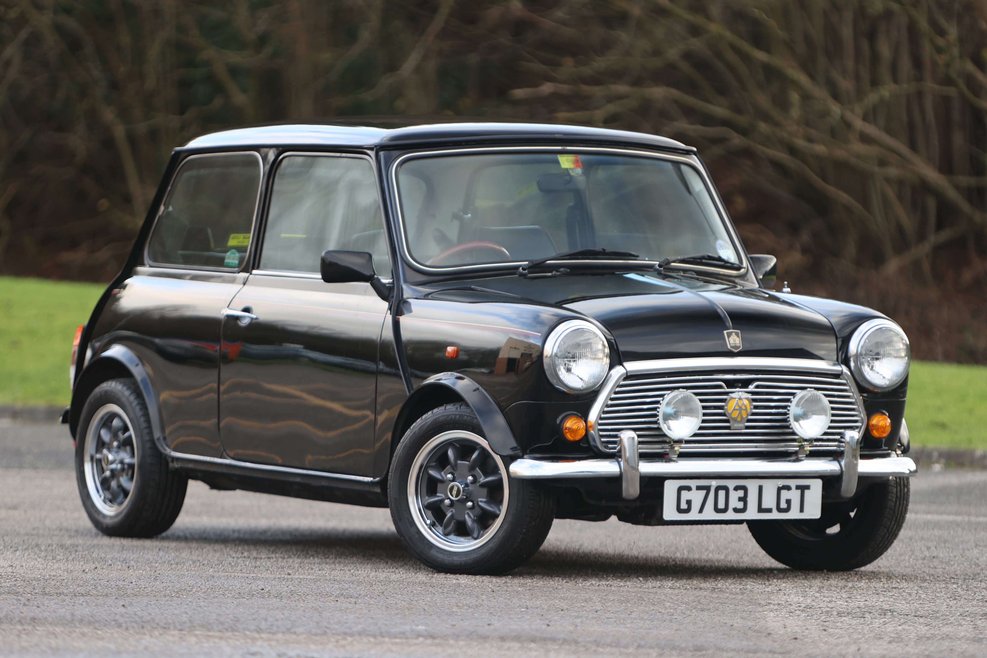 Lot 124 - 1989 Austin Mini Thirty