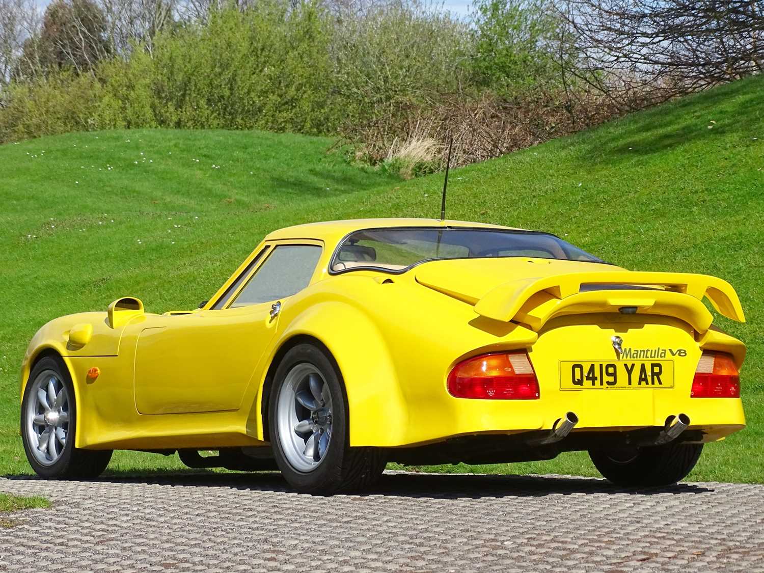 Lot 115 - 2011 Marcos Mantula